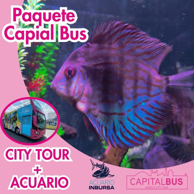 Passline - Capital Bus: 24 hrs City Tour + Acuario