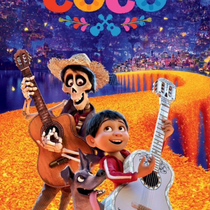 Passline - Coco Disney/Pixar